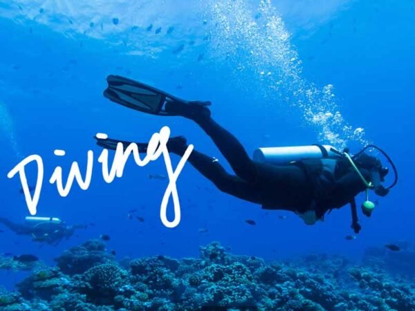 Wetsuit Water Temp Guide | Thickness & Gear Chart 2025